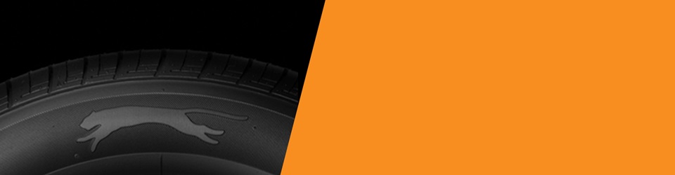 Bridgestone Supercat Tyres | Bridgestone Australia